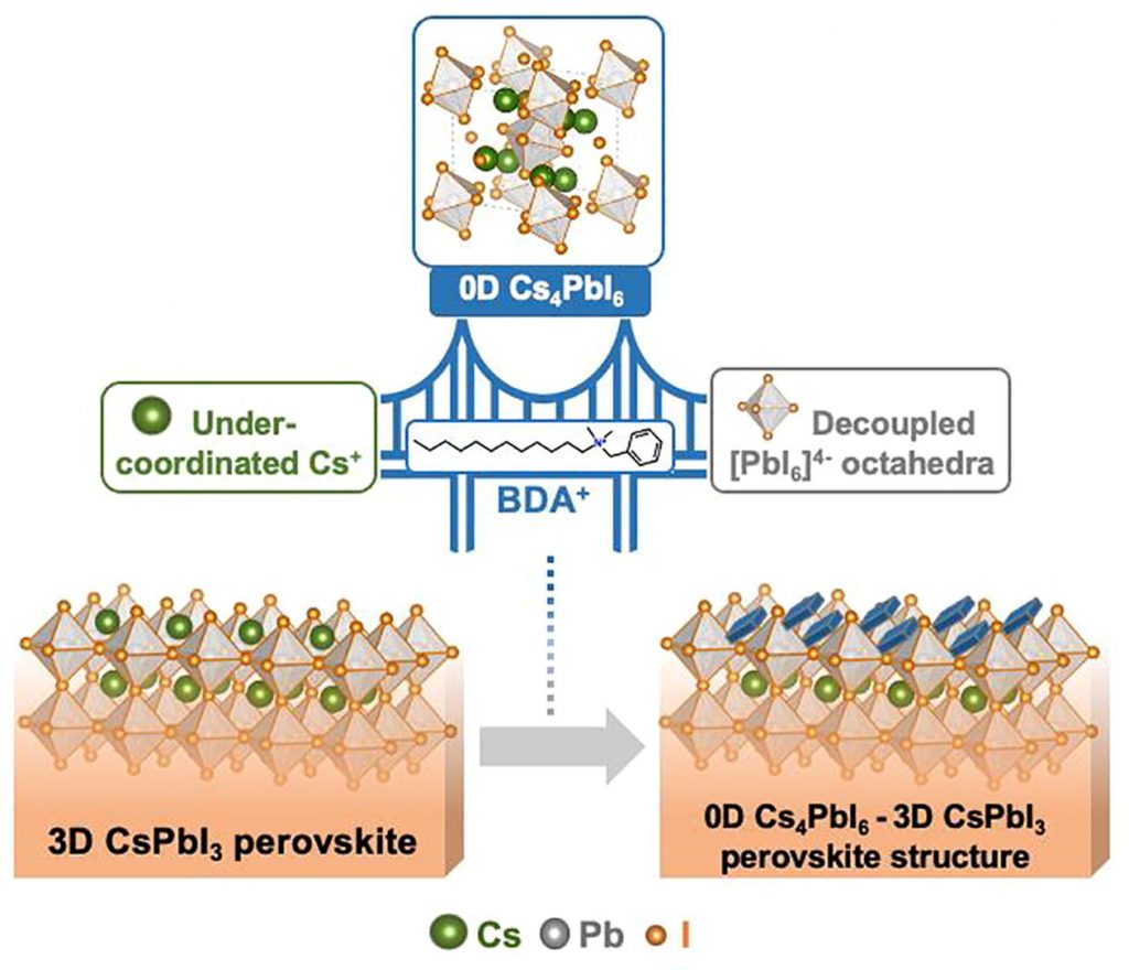 2023 – 光电能源和资源化学团队
